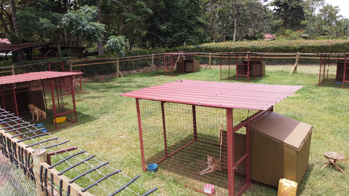 Nile Pet Boarding Kennels & Cattery Photo Gallery
